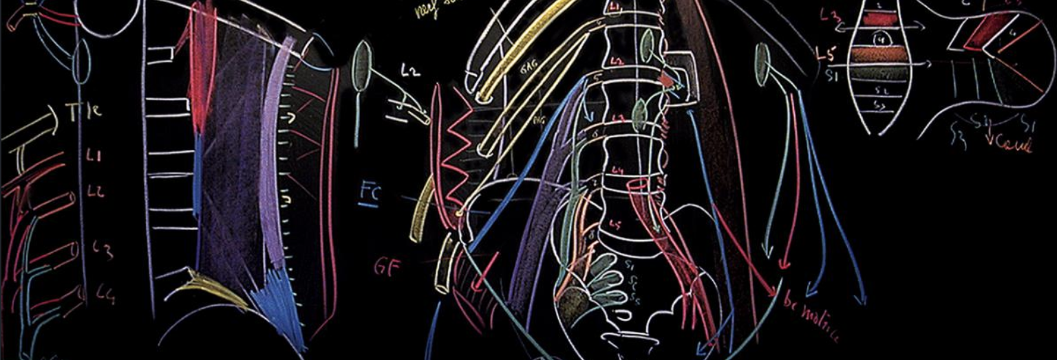 Quelle formation pour devenir étiopathe ? Nabis Quandalle vous répond